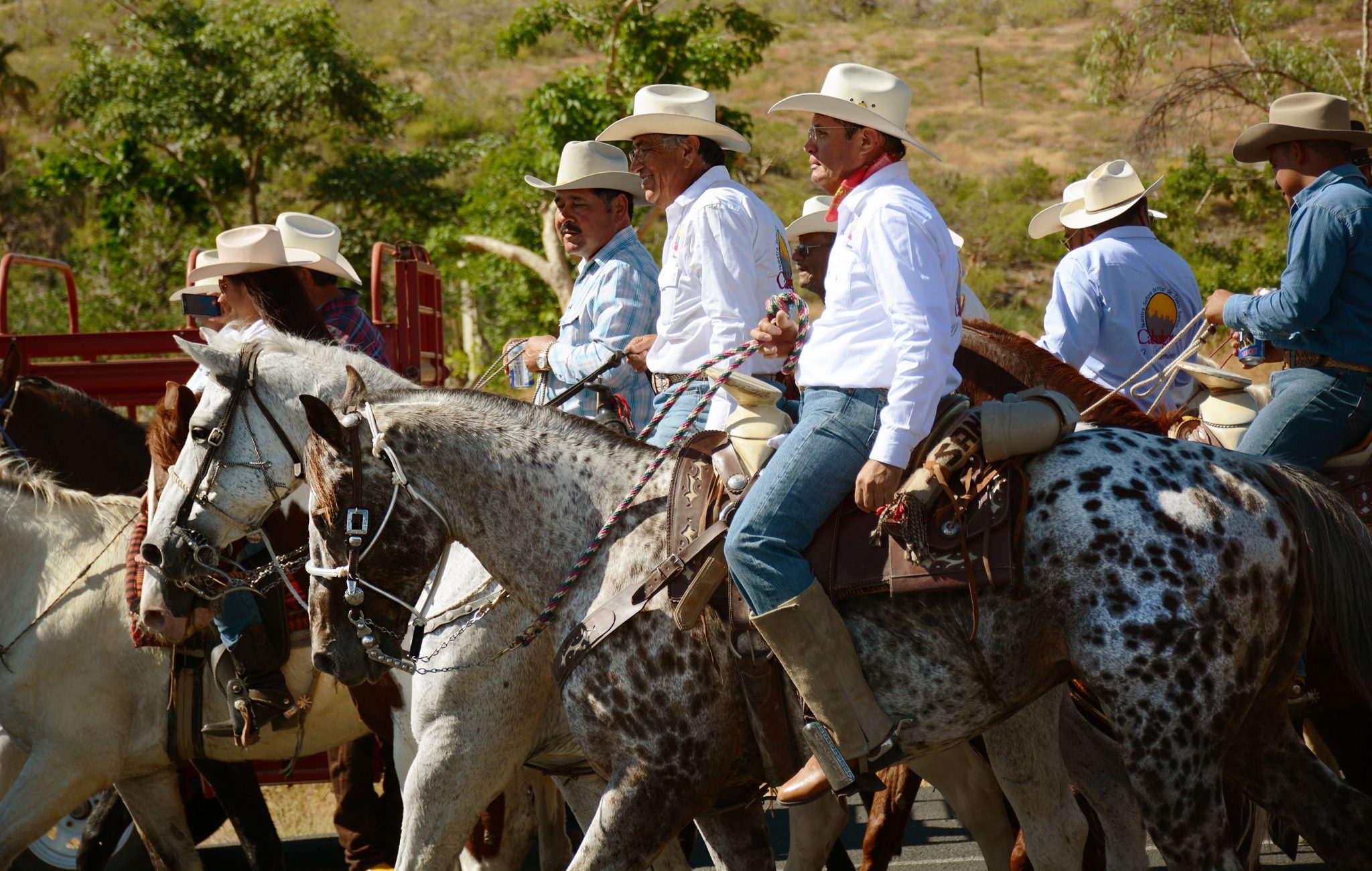 The Cabalgatas of Baja California Sur: Friendship, Pride and a Parade ...